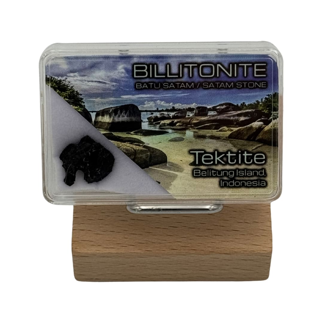 Billitonite (Batu Satam) - Tektite Noire Rare d'Indonésie | Elithos