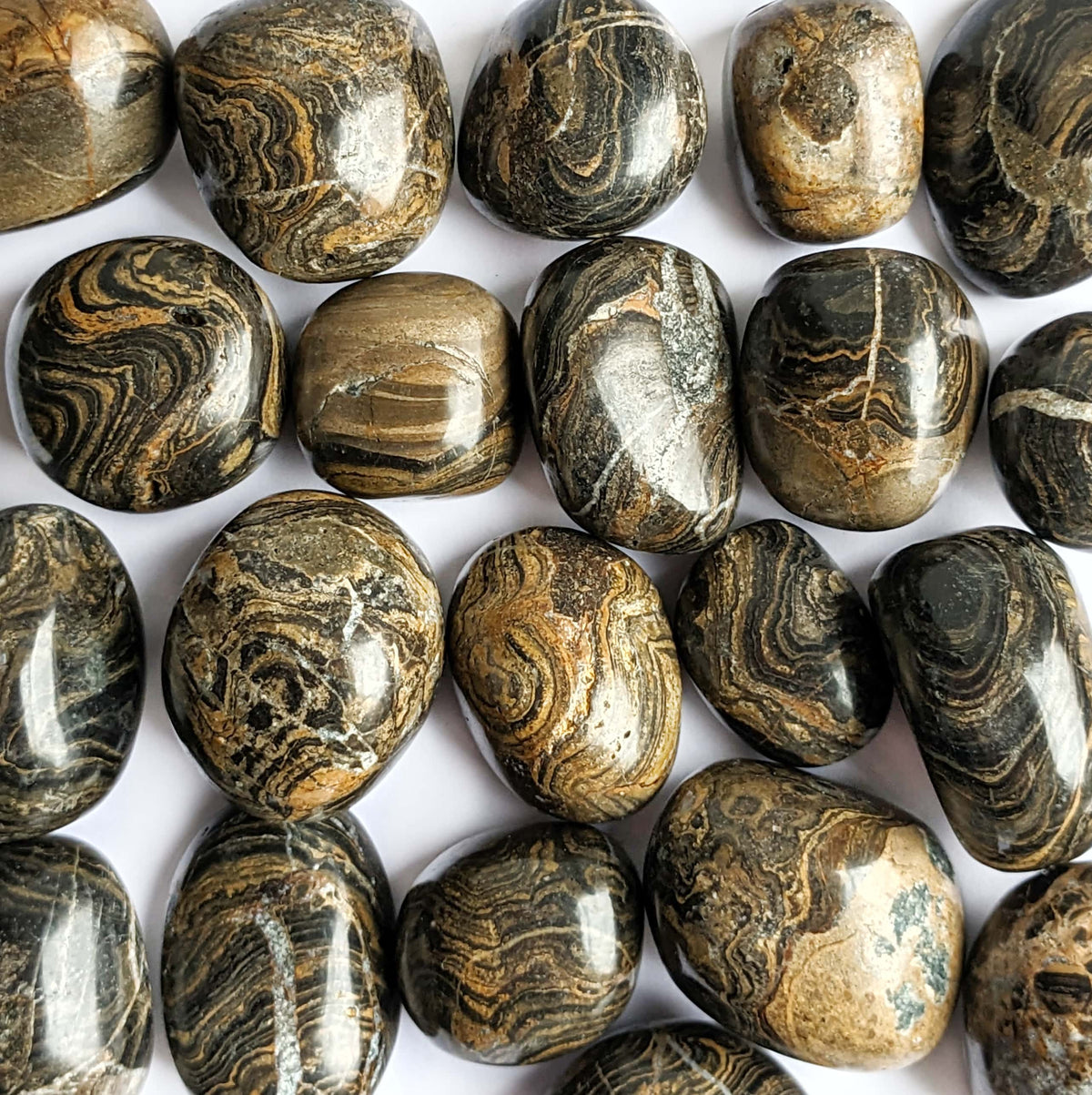 Pierre stromatolite
